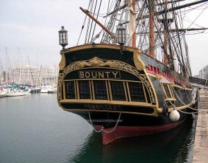 La tragedia del Bounty – En visita de cortesía